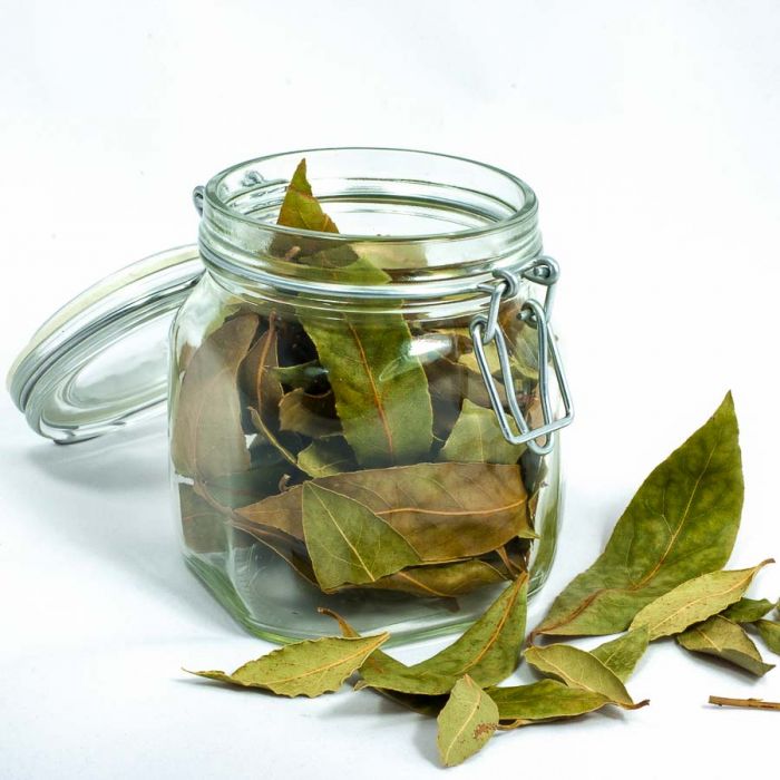Bay leaves | 50g – ItalianMart