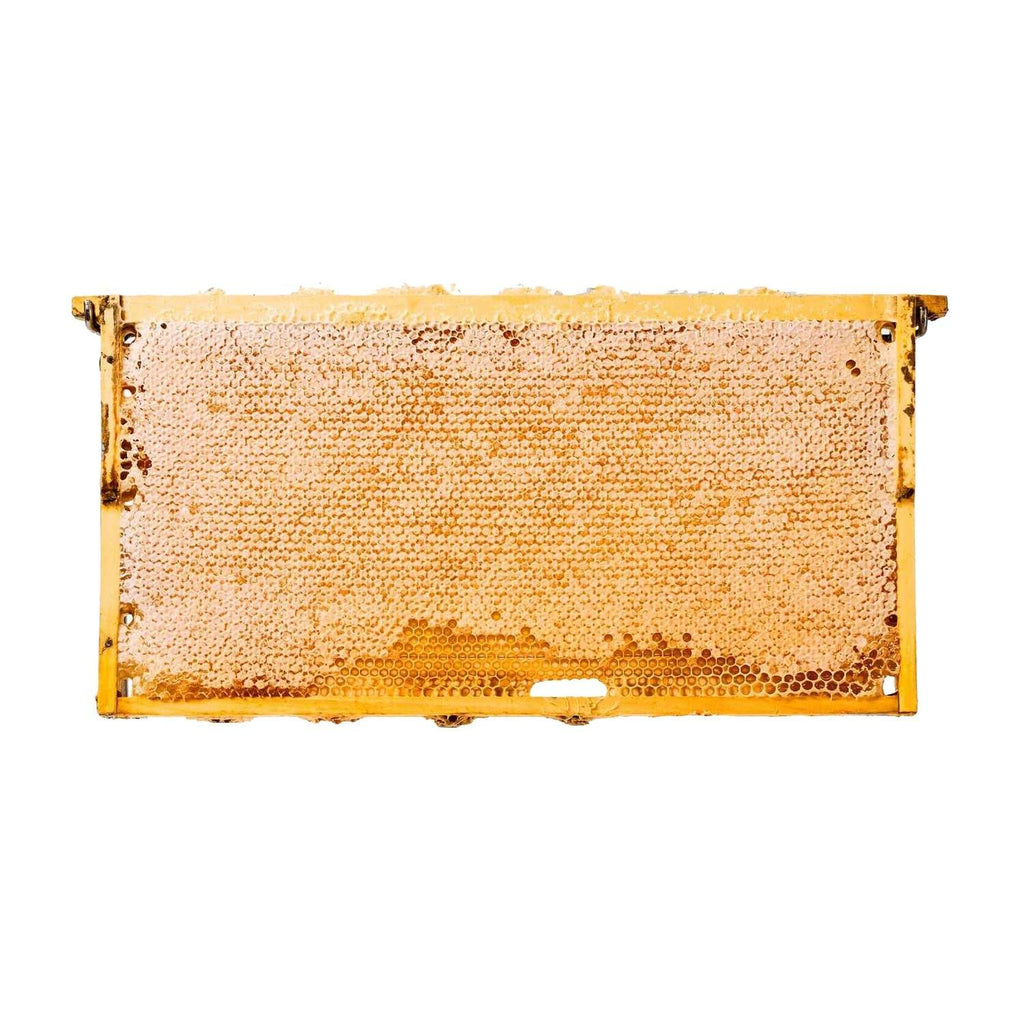 Comb Honey with Wood Frame – ItalianMart